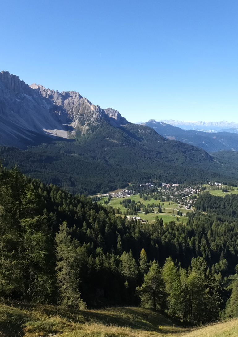 Jahrestagung 2014: International Association for Landscape Ecology ...